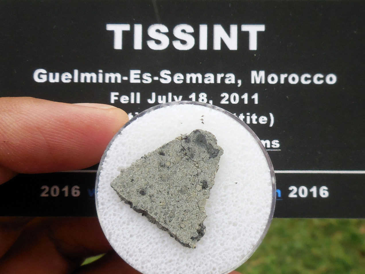 Tissint Meteorite Thin Section | Solar Anamnesis